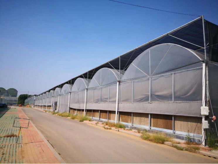 External Sun-Shading System for Building Greenhouse Plants - Buy ... External Sun-Shading System for Building Greenhouse Plants - Buy ...